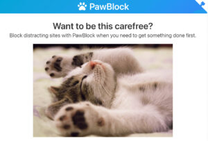 7 Best Website Blockers For Productivity In 2025