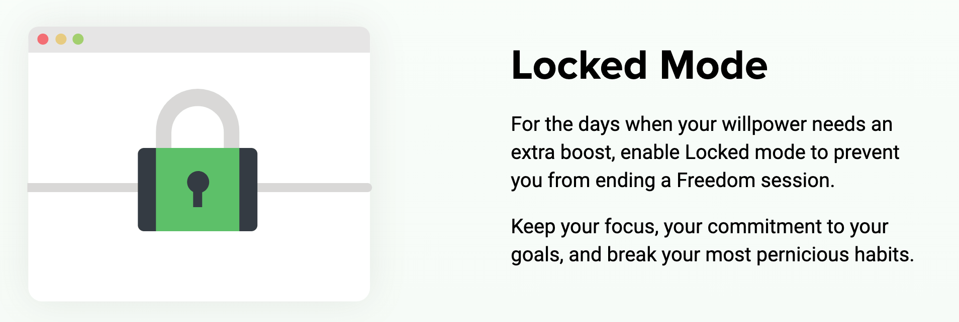 Freedom App Review: How It Helps Me Focus In 2025